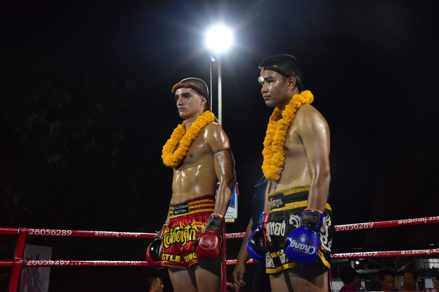 Home - muaythaibattleconquer